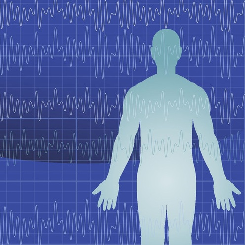 Hvad er et menneske?